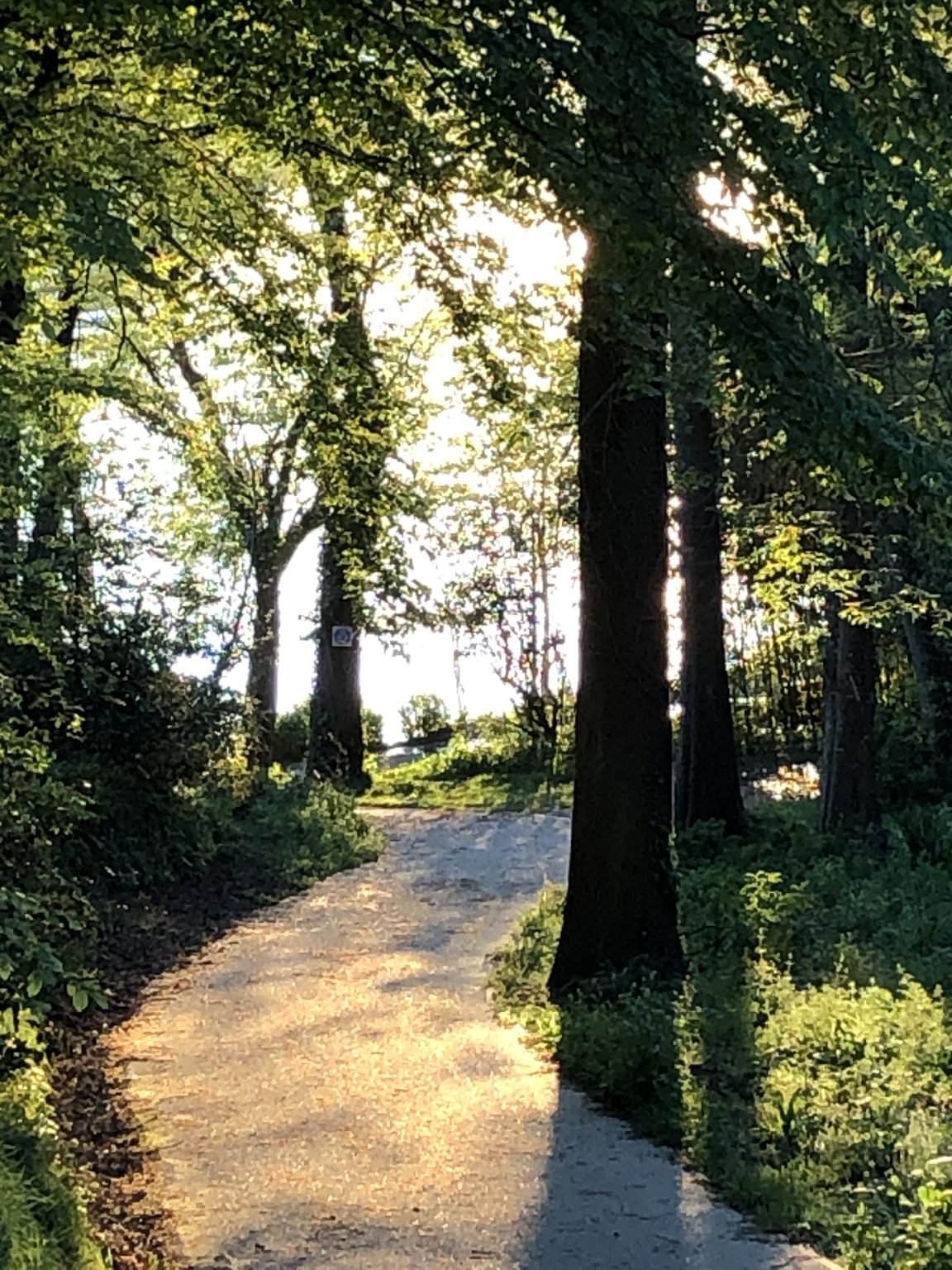 C’est quoi le Coaching en marchant ? - Freya & Co. Lene Jacobsen